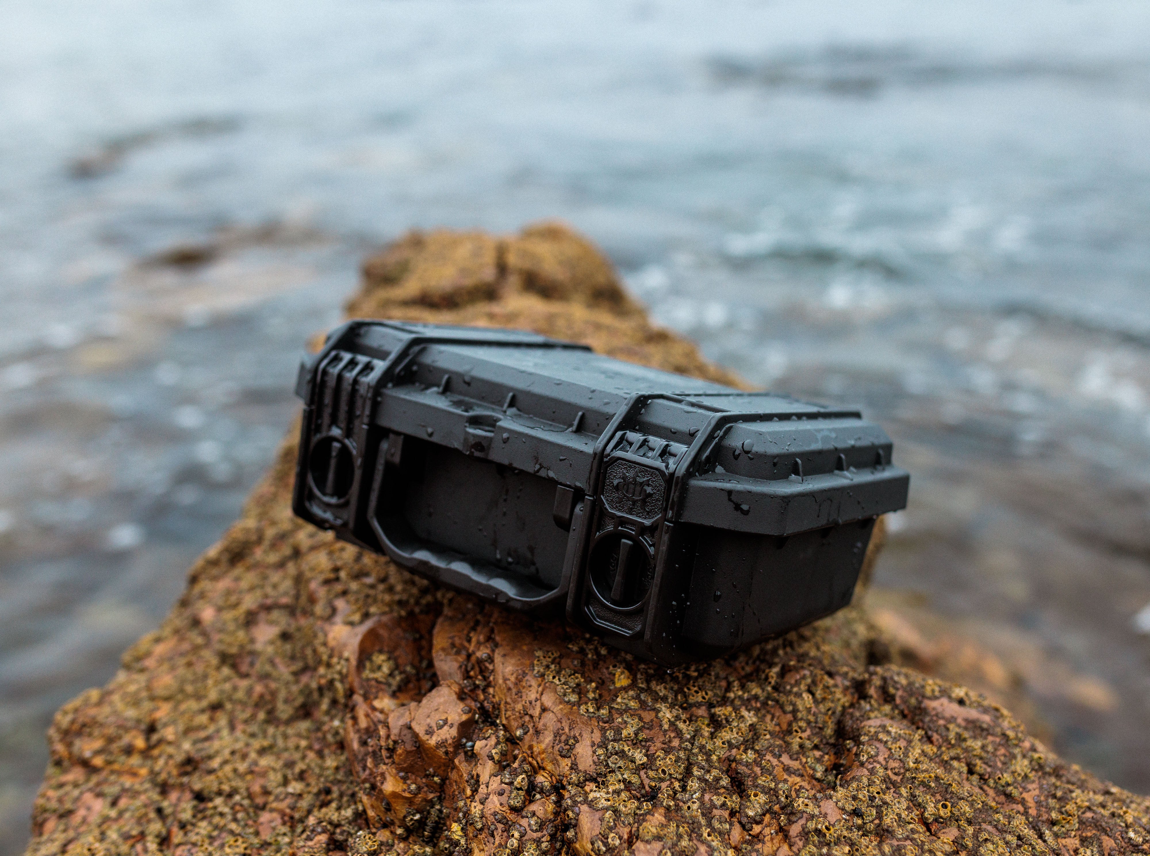 Small – Official Seahorse Cases