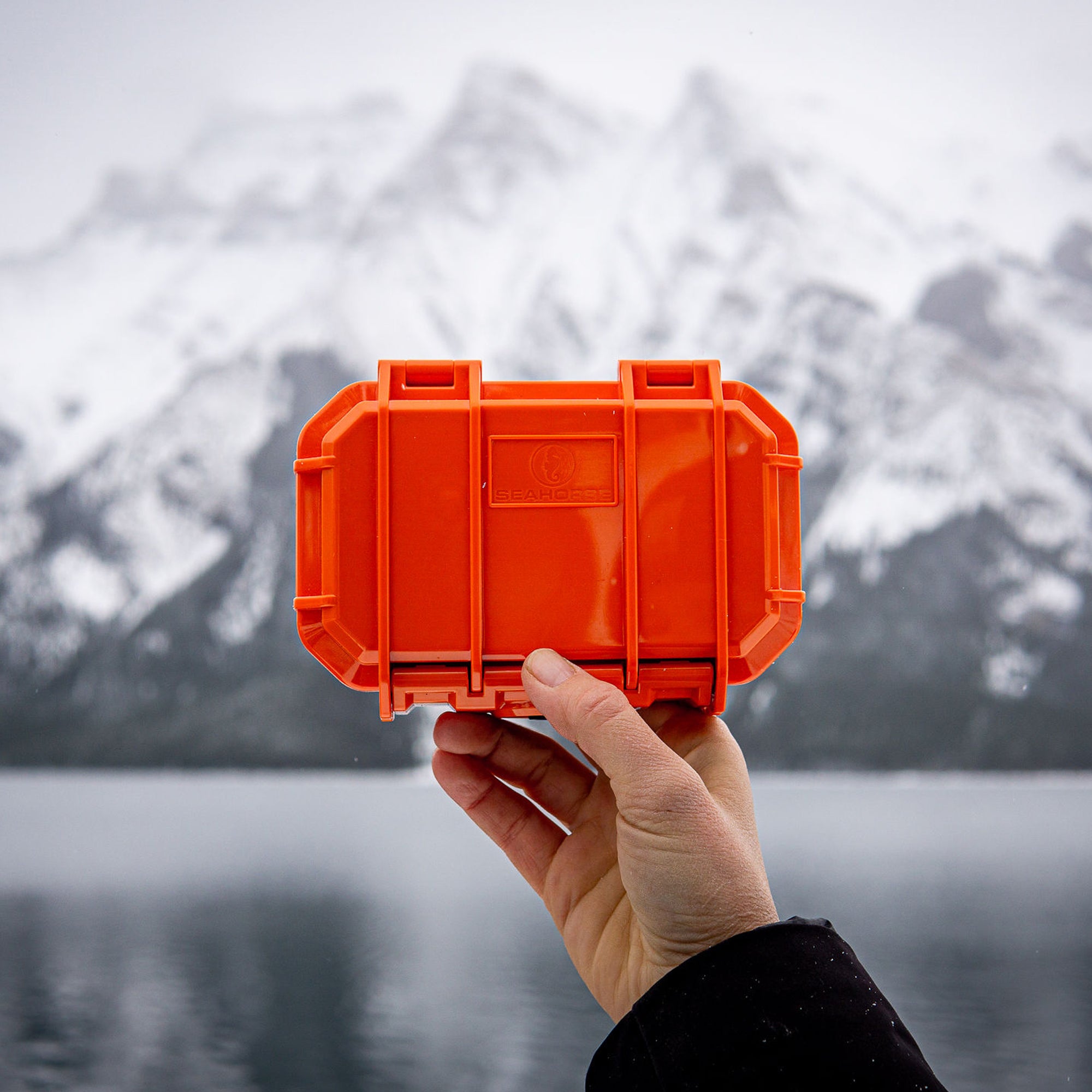 Micro Series – Official Seahorse Cases