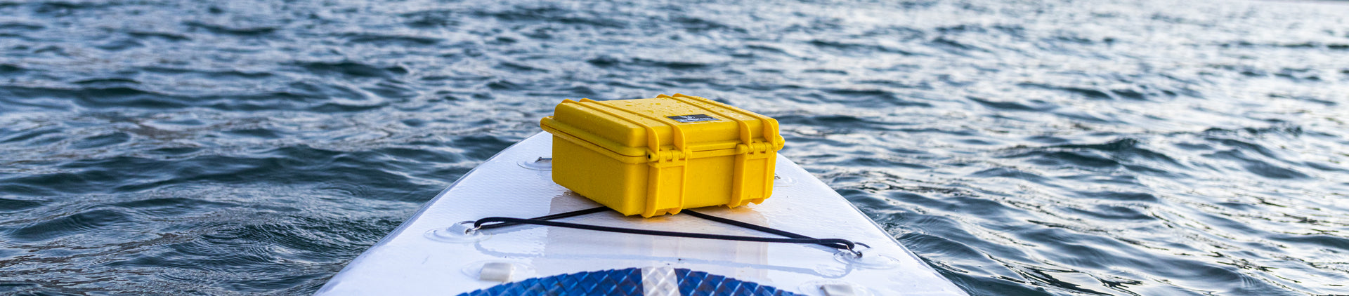 Small – Official Seahorse Cases